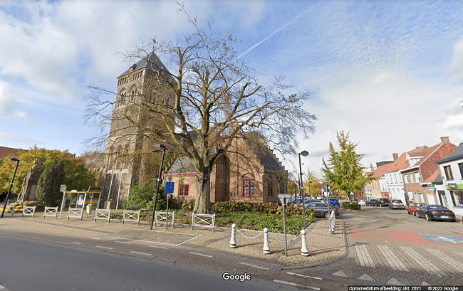 Project: Vervanging van de Rode Beuk in Geluwe | Stad Wervik